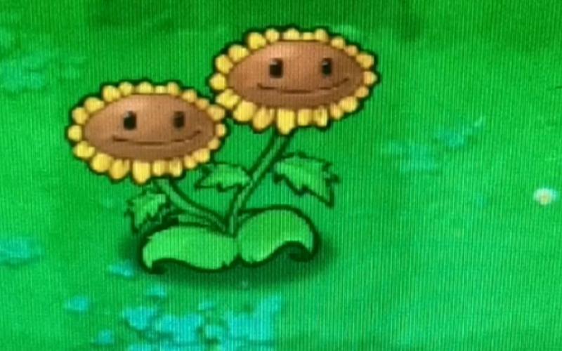 植物大战僵尸2双头向日葵图标