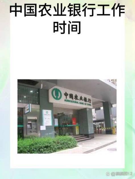 农业银行双休日开门吗截图