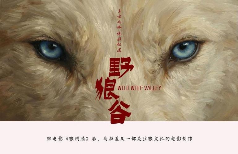 野狼视频图标