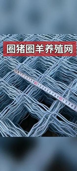养殖圈截图