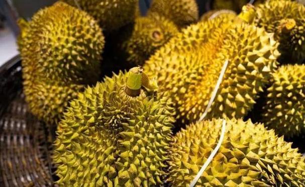 爱了你那么多年榴莲香菜图标