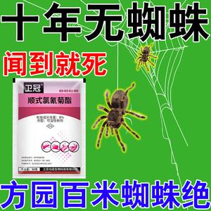 有熏蜘蛛的特效药吗图标