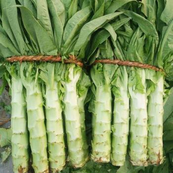 绿色蔬菜图片图标