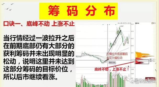 筹码指什么意思图标