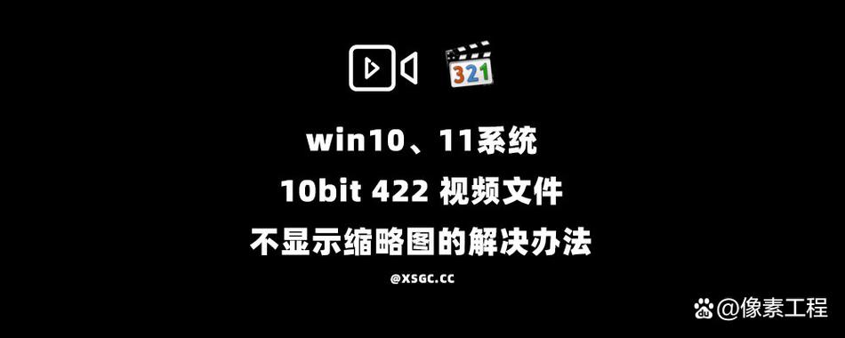 视频不显示画面图标