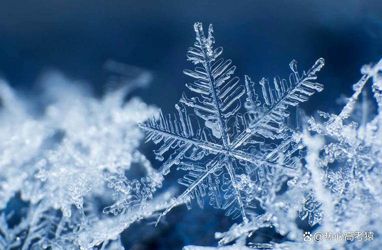 雪花内部辅助的原理图标