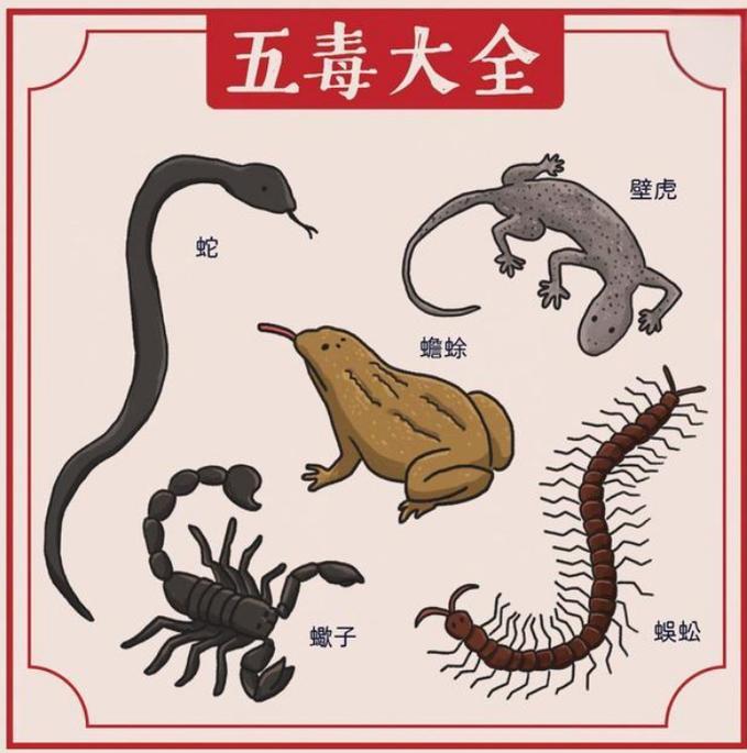 五毒剑三