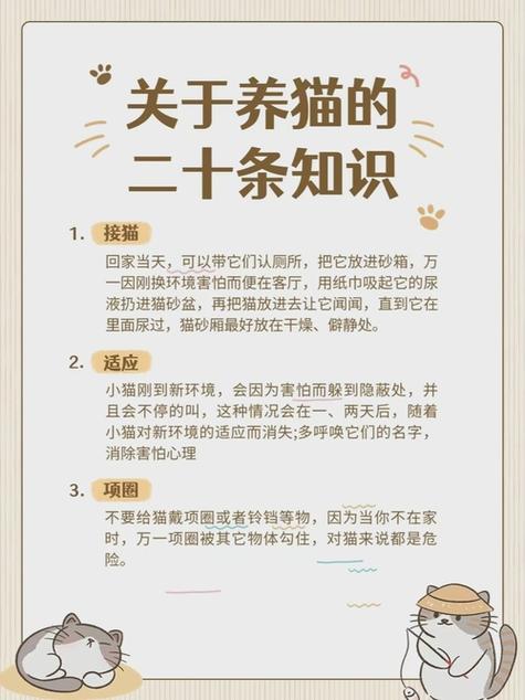 养猫的注意事项新手图标