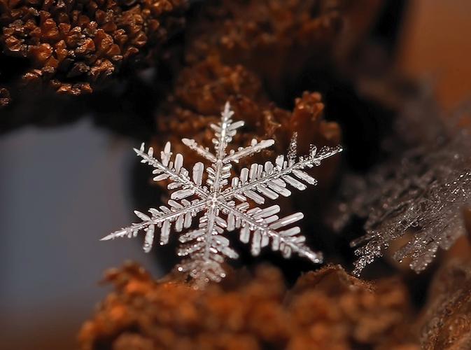 用手机拍雪花怎么调参数截图
