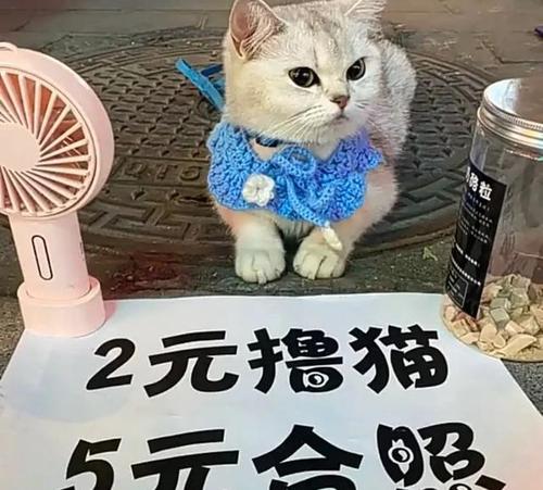 卖猫赚钱图标
