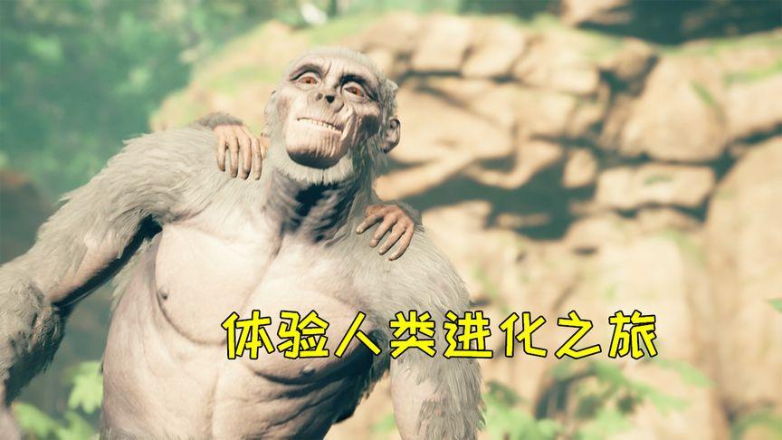 先祖进化模拟器游戏02