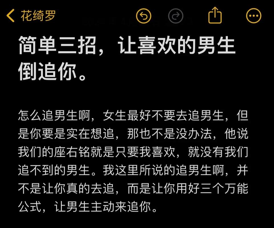 我的倒追男友百度云图标