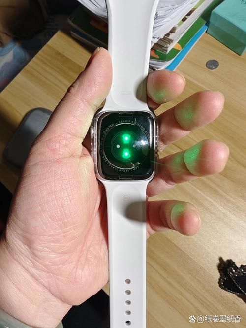 iwatch背面闪红光和绿光区别图标