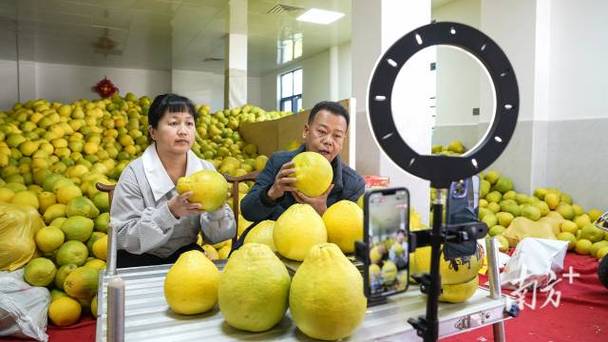 斗鱼柚子图标