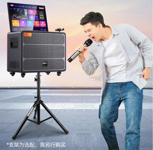 特美声音响怎么配话筒截图