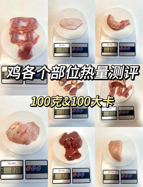 鸡一天吃多少图标