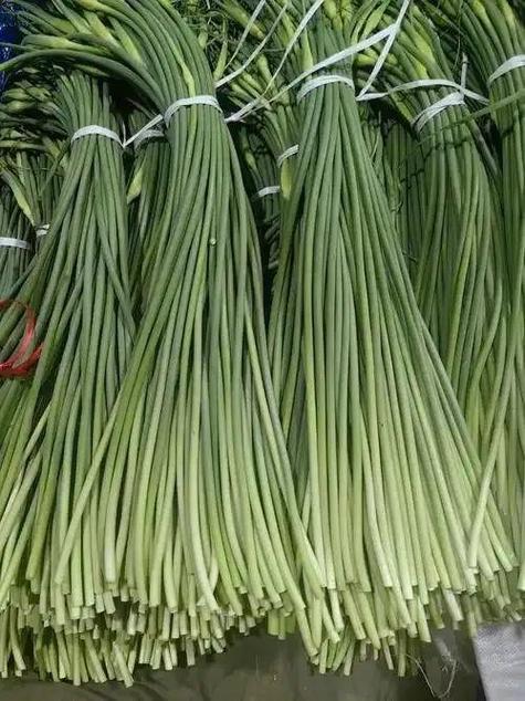 孕妇可以吃蒜苔吗图标