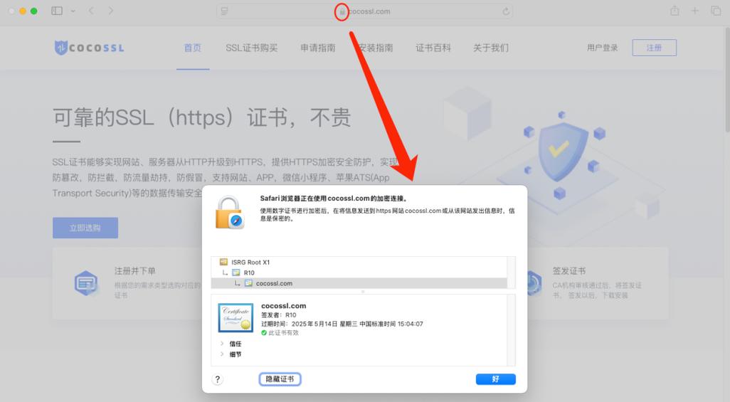 https 抓包证书图标