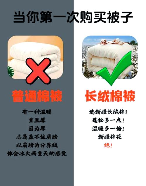 被子谁家的性价比高一点图标