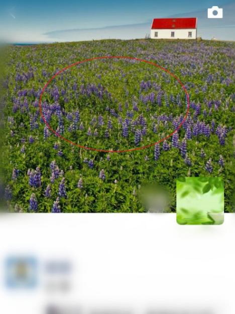 微信更换相册封面视频怎么弄图标