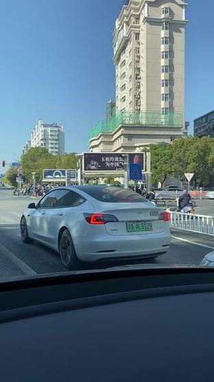 为什么特斯拉叫电耗子图标