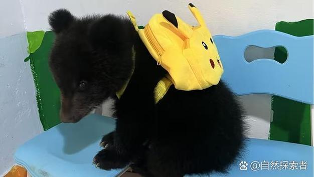 幼崽饲养员小说图标