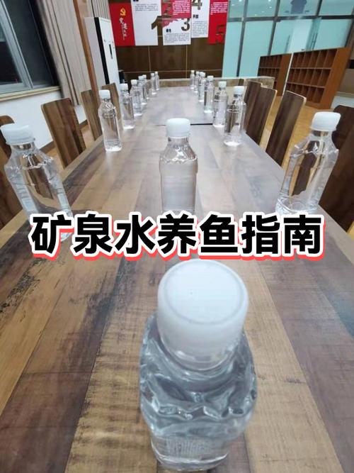 用矿泉水养鱼好还是自来水好