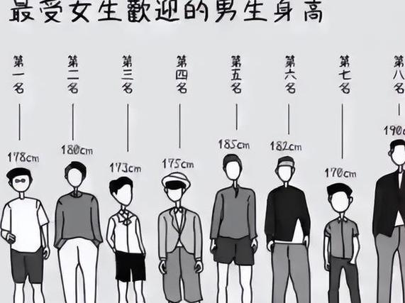 身高图标