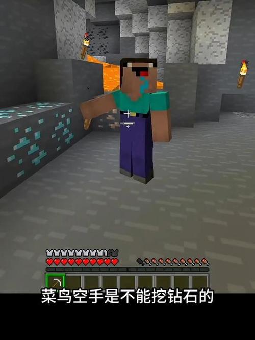我的世界菜鸟系列