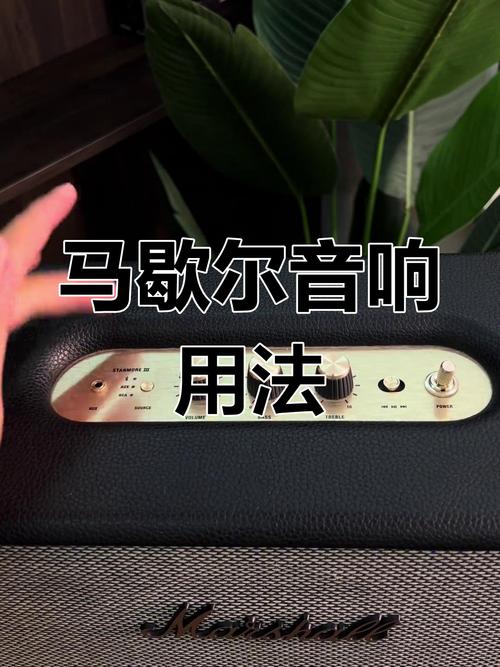 马歇尔蓝牙音箱怎样使用图标