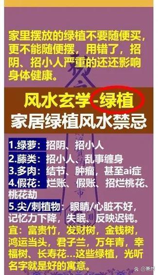 罗盘放家里大忌图标