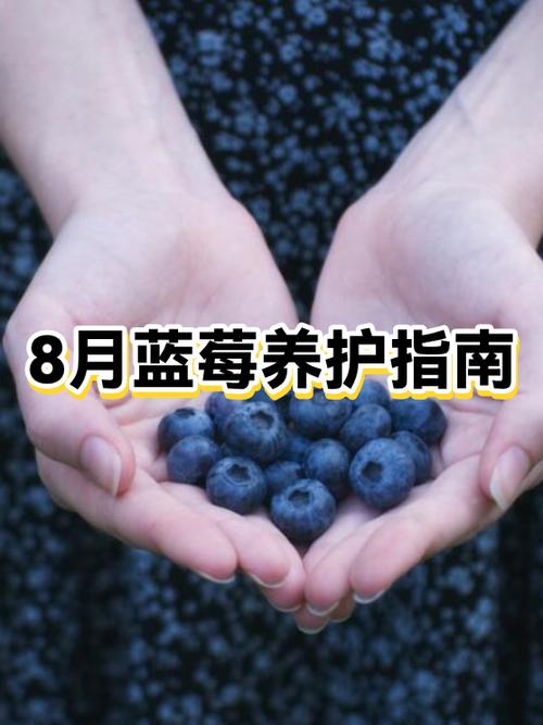 肺结节吃蓝莓好吗图标