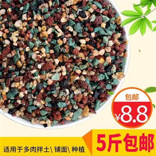 养兰花用什么土图标