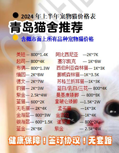在哪买猫比较靠谱图标