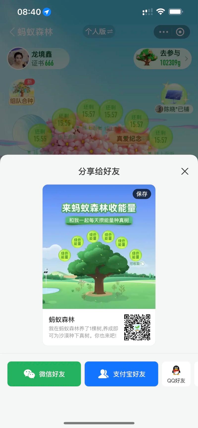 支付宝好友蚂蚁森林看不到图标