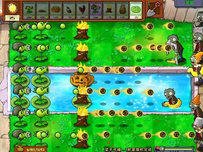植物大战僵尸2010版本下载图标