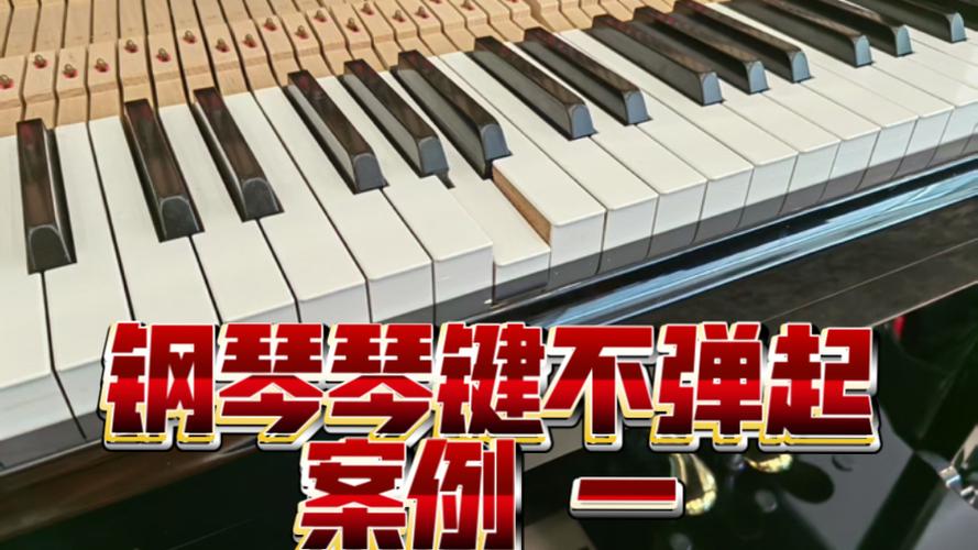 钢琴键回弹力不够截图