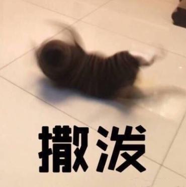 撒娇打滚卖萌表情包图标