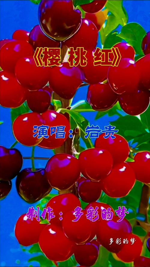 樱桃红优酷播单截图