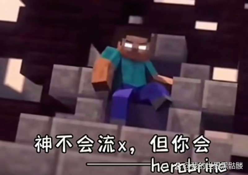 我的世界语录him图标
