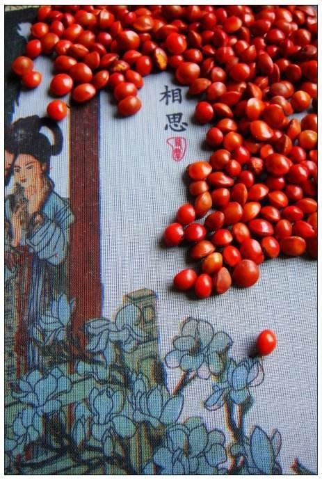 红豆就是红小豆吗图标