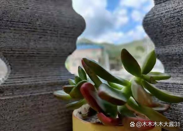 树洞赚钱图标