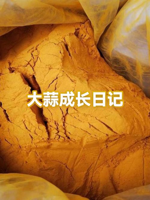 蒜苗的生长过程观察记录表图标