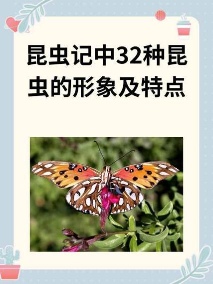 各类昆虫图片及名称图标
