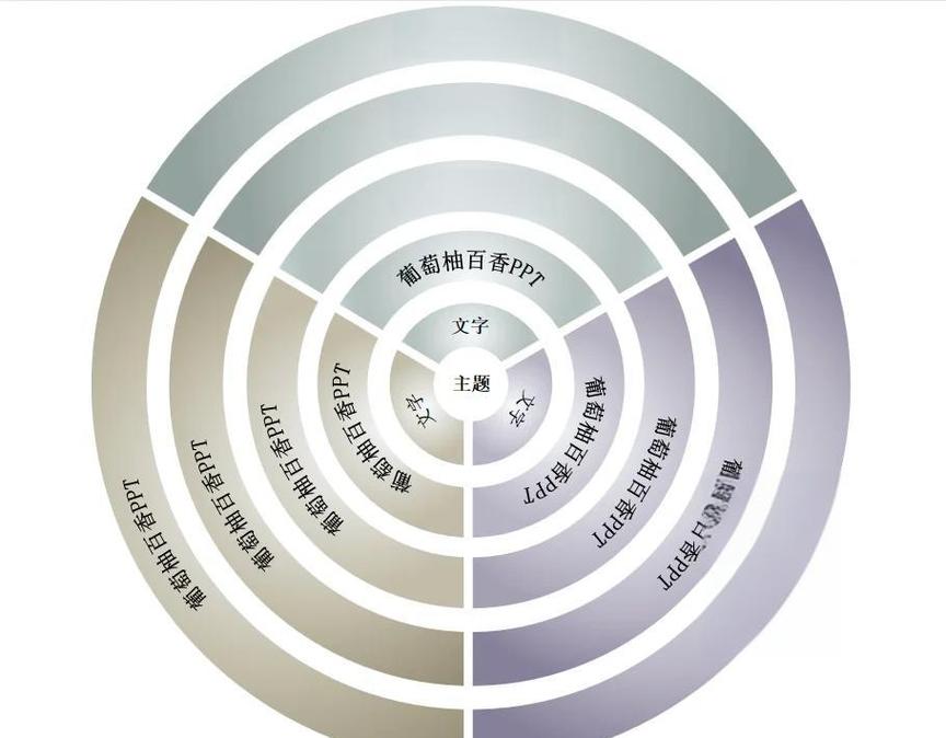 同心圆理论中的五个圈层截图