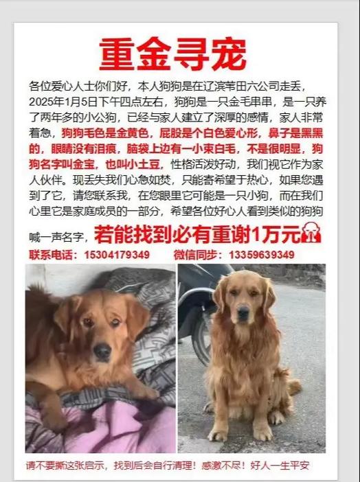寻宠团队靠谱吗图标