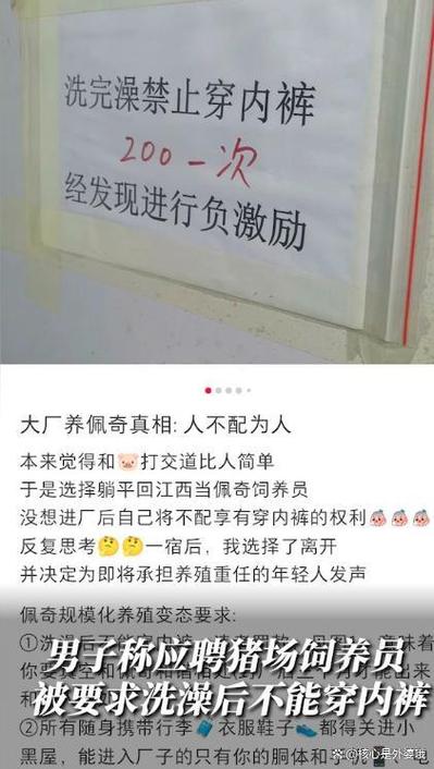 养猪励志格言截图