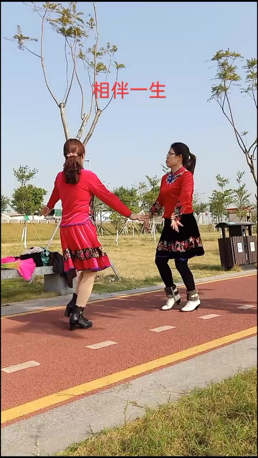广场舞双人舞截图