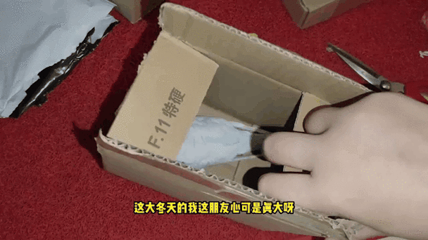 冷冻快递怎么寄截图