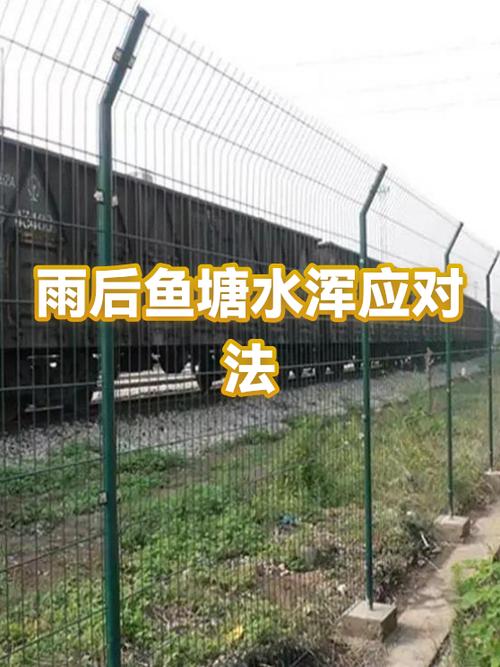 鱼塘里面的水比较浑浊怎么办图标